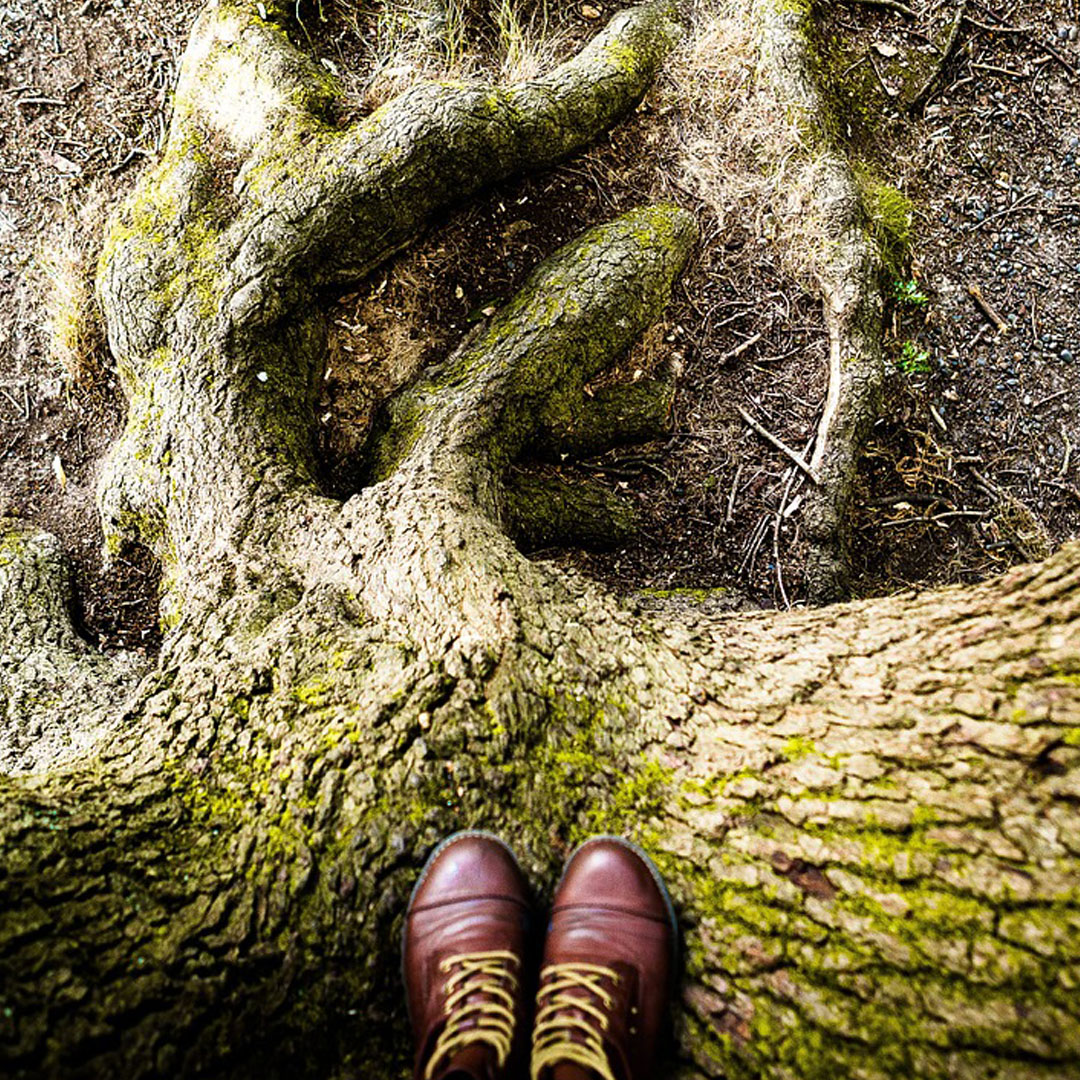 Maple Simple Syrup – Hedge Witch Cottage